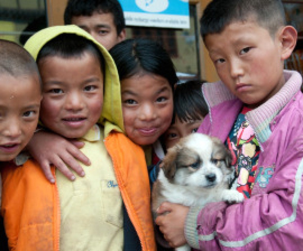 Ways to help animals | Humane World for Animals