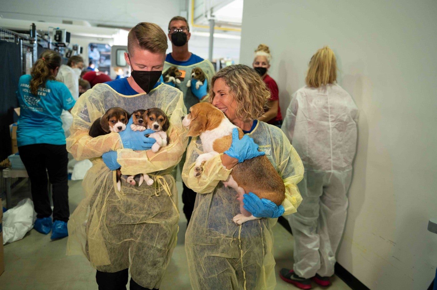 How the Animal Welfare Act has evolved over the decades and what still ...