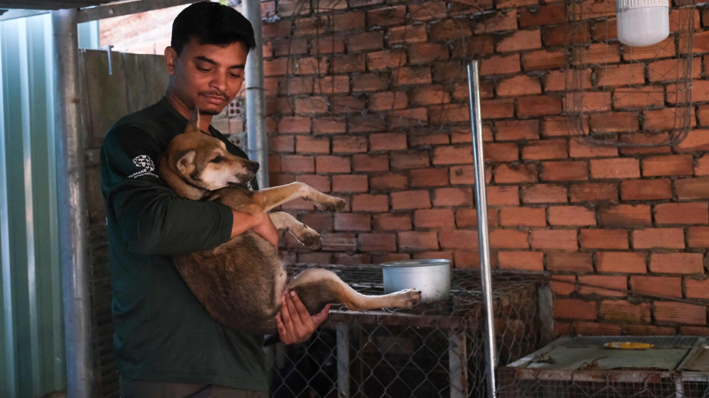 Deutschland | Humane World for Animals