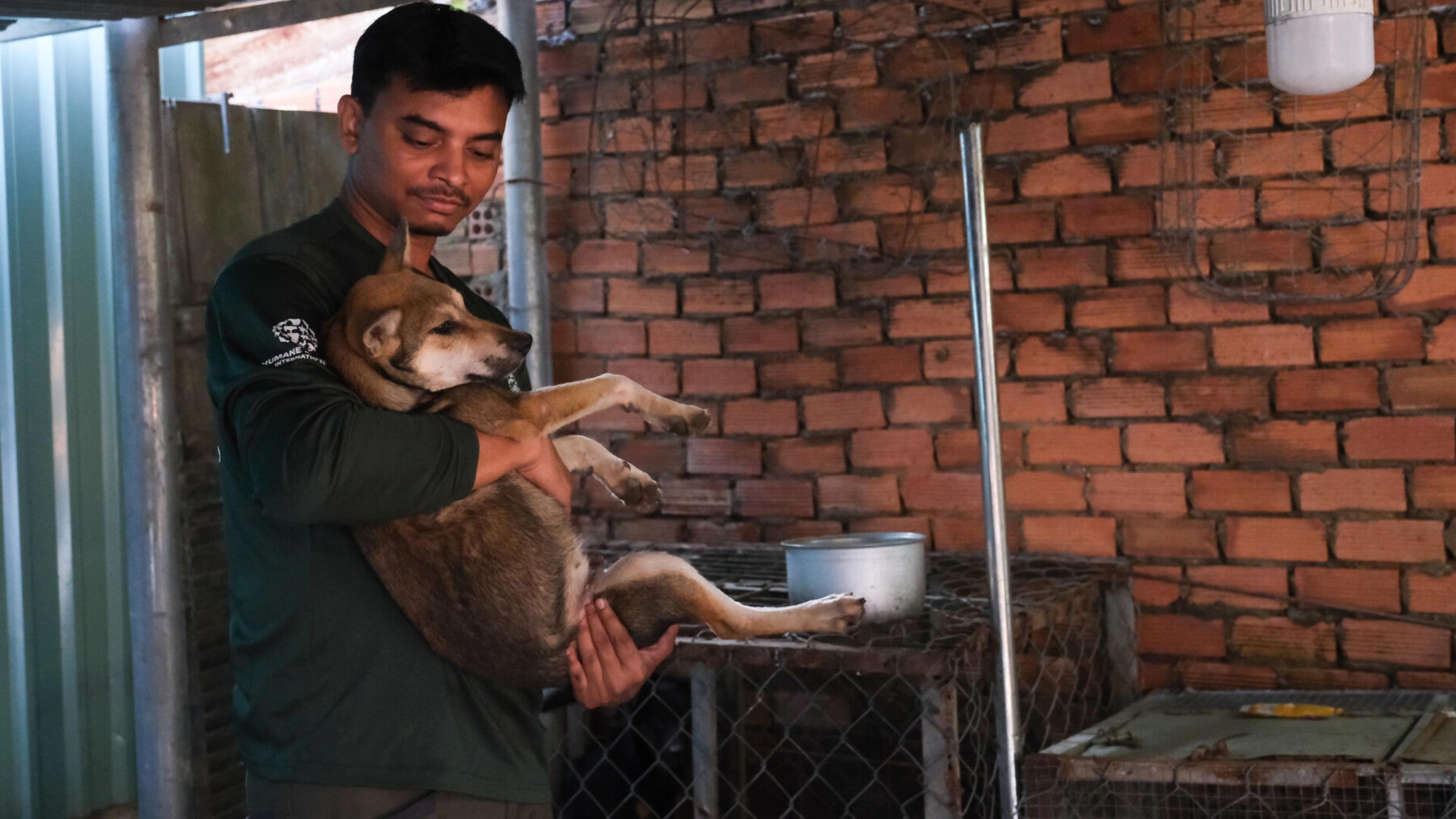 Deutschland | Humane World for Animals