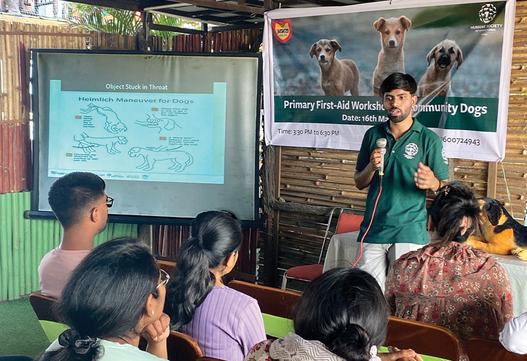 Breaking barriers for India’s street dogs | Humane World for Animals