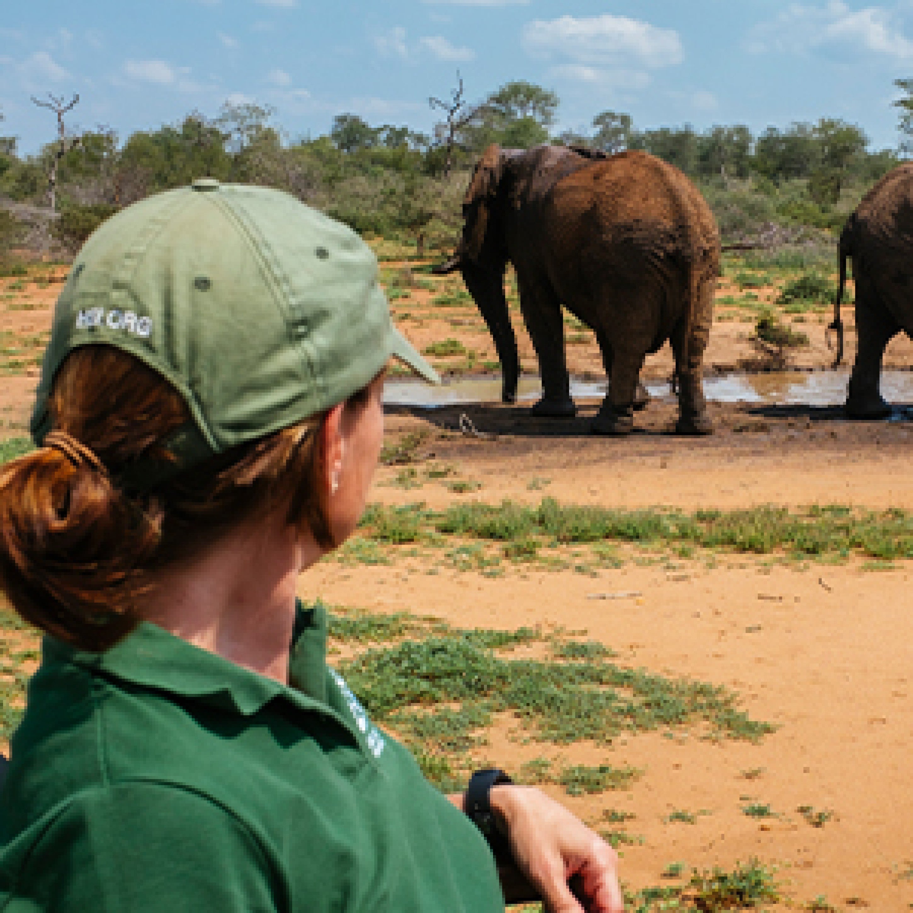 How to safely watch wildlife in nature | Humane World for Animals