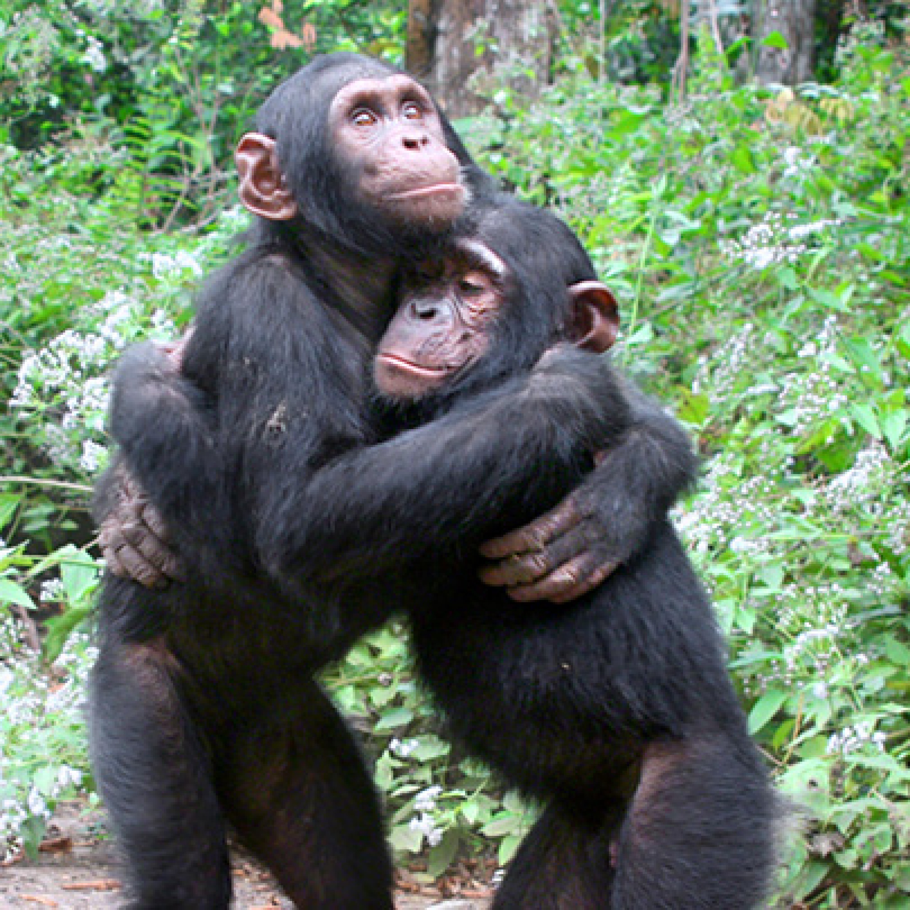 Exclusive interview with animal activist Dr. Jane Goodall | Humane ...