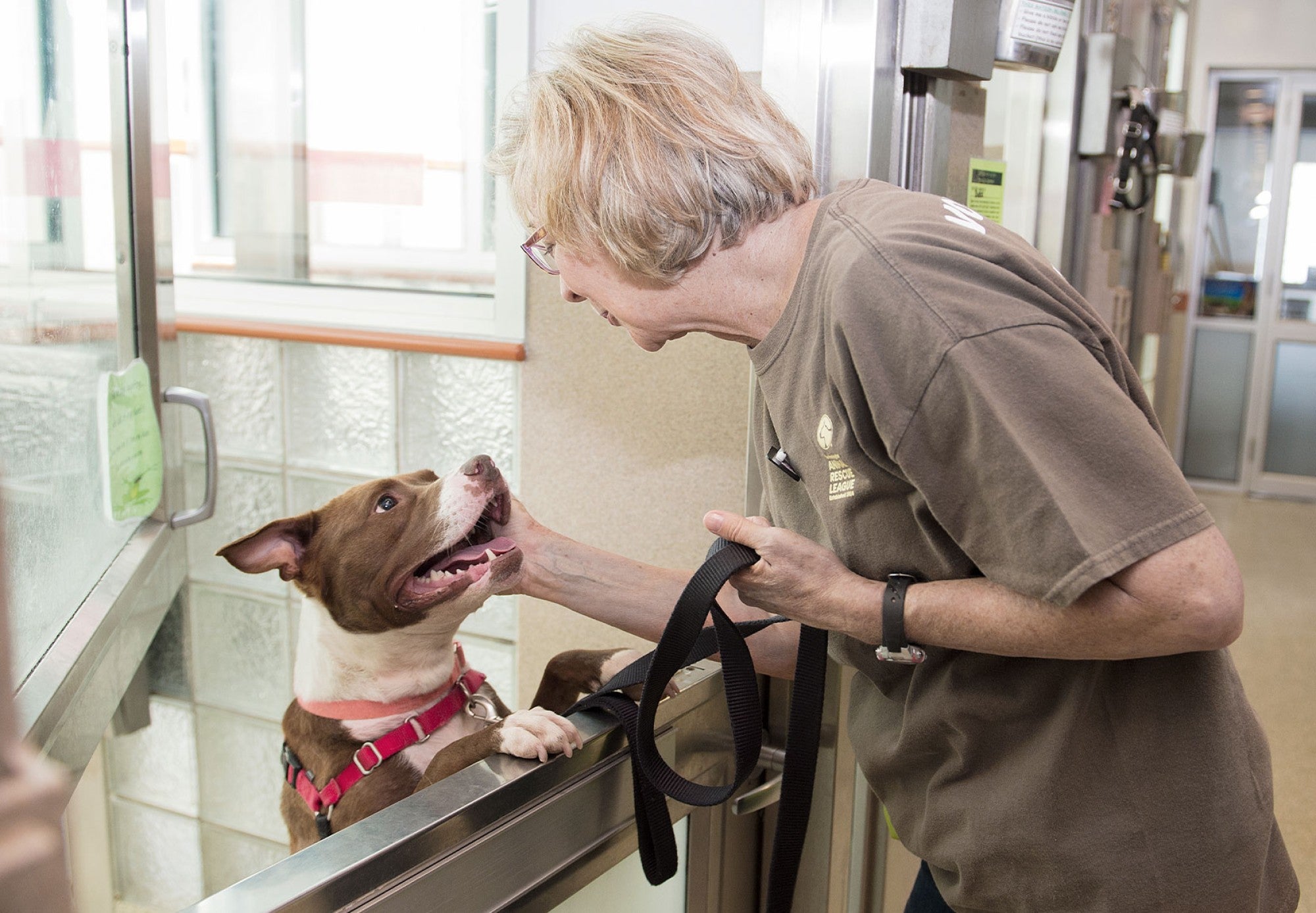 When you volunteer to help animals, you help yourself | Humane World ...