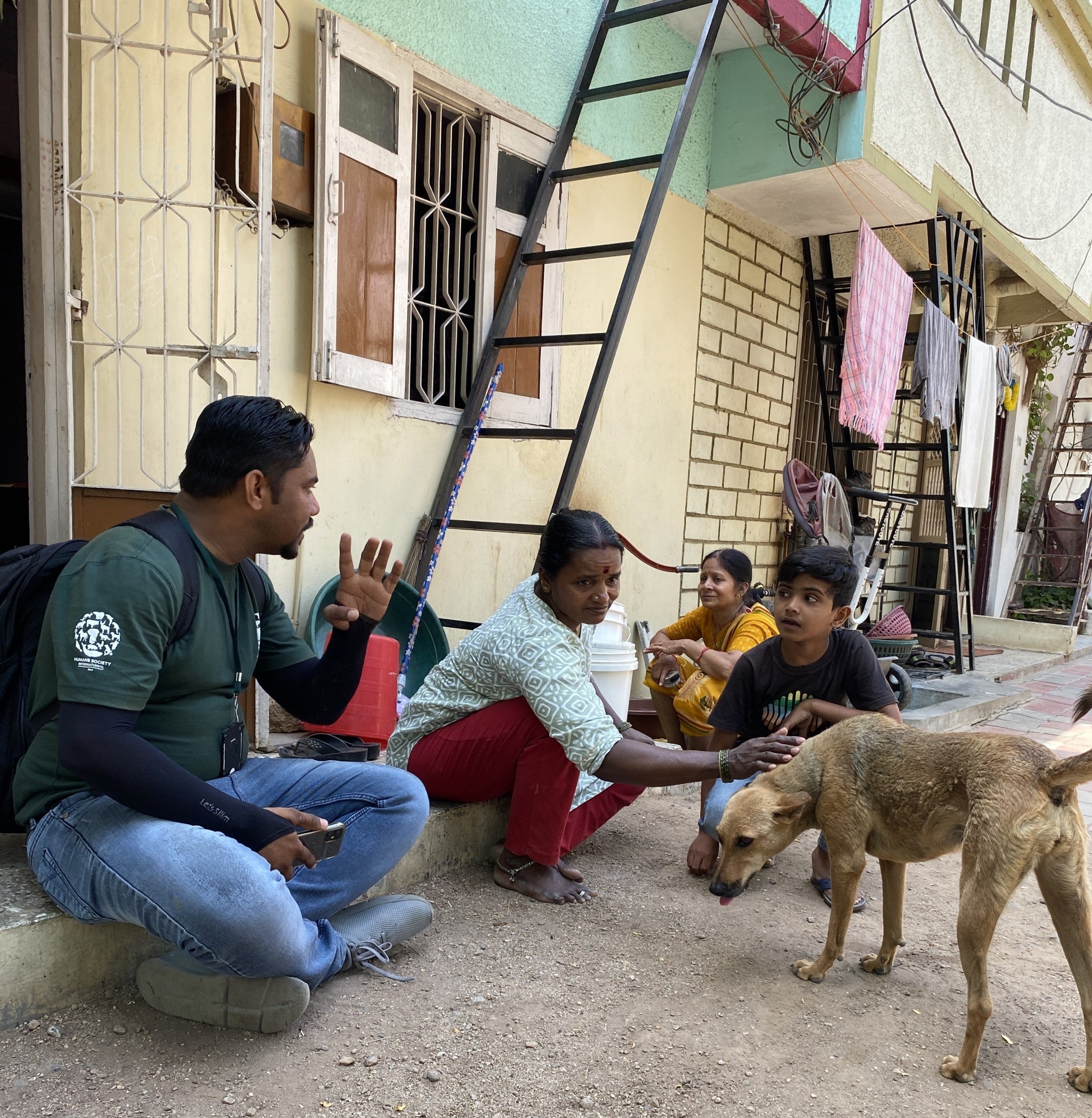 Children in India learn about street dog safety through giant board ...