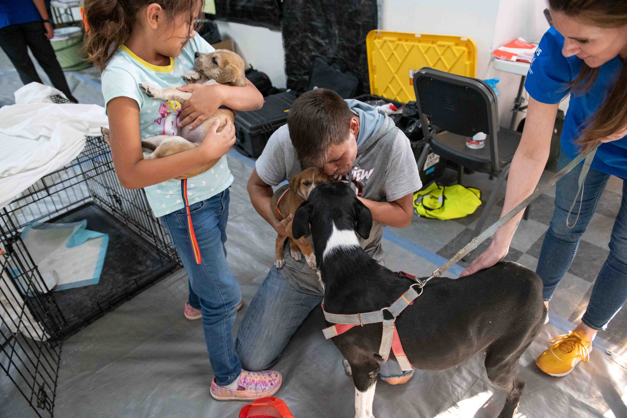 ‘It means the world’: A veterinary program that’s changing lives ...