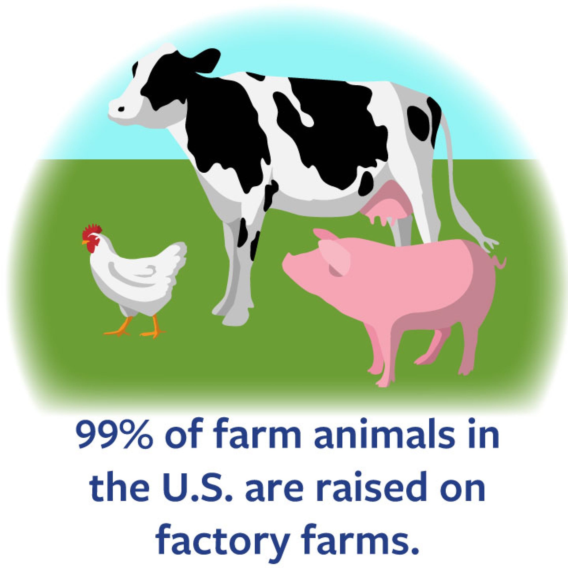 The facts about factory farms | Humane World for Animals
