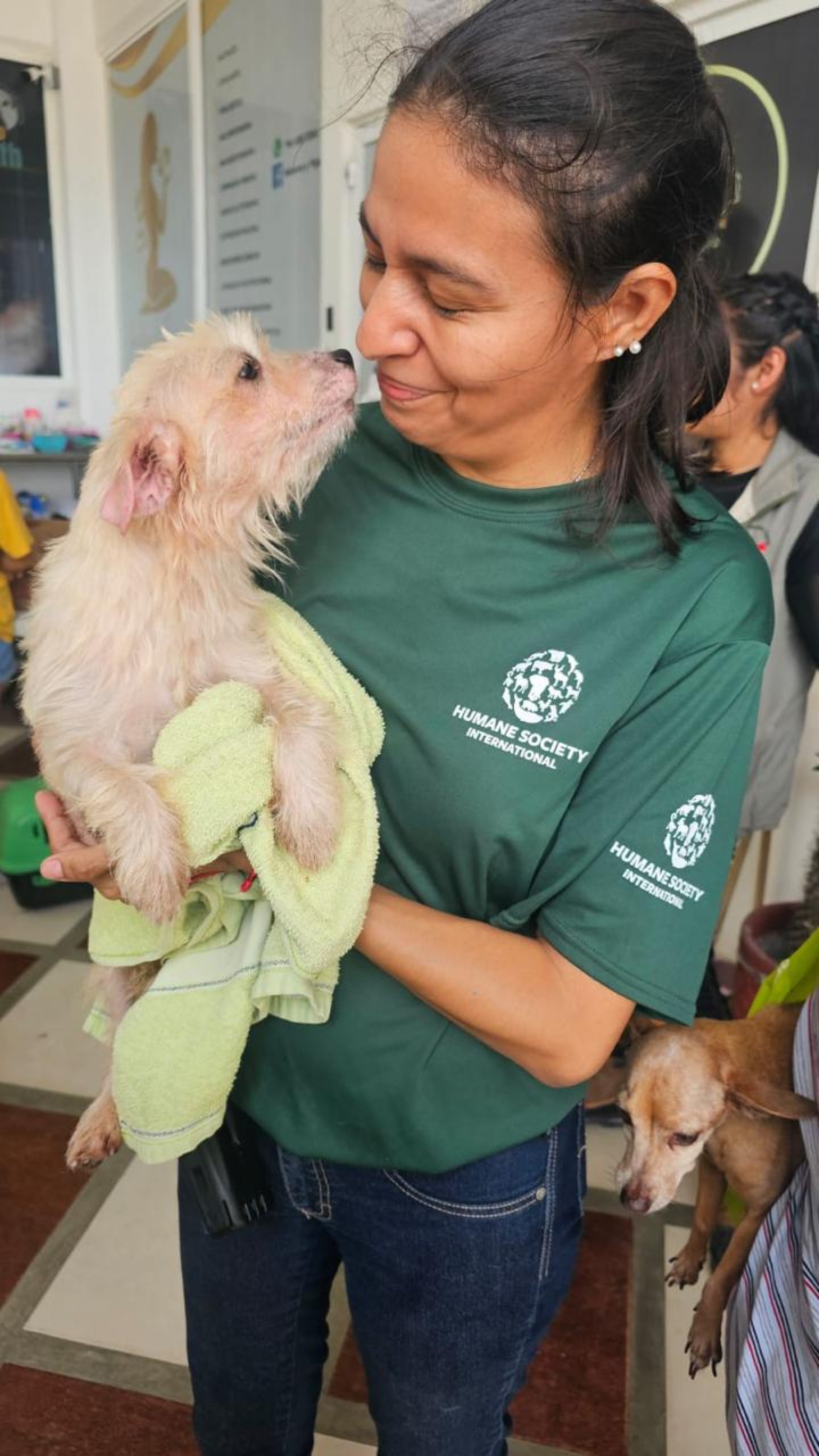 Helping nearly 1,000 animals in Mexico after Hurricane John | Humane ...