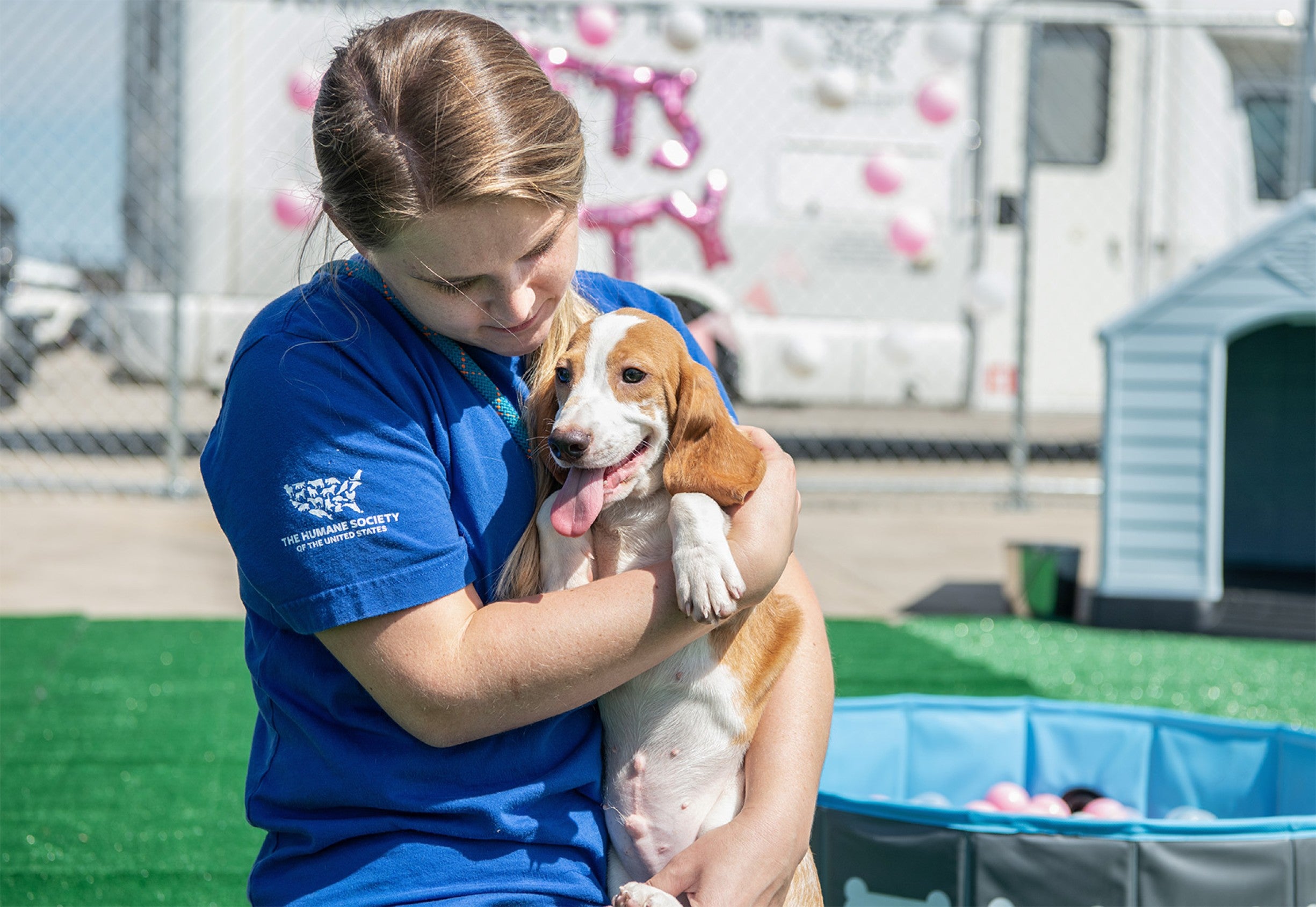 Going big for beagles | Humane World for Animals