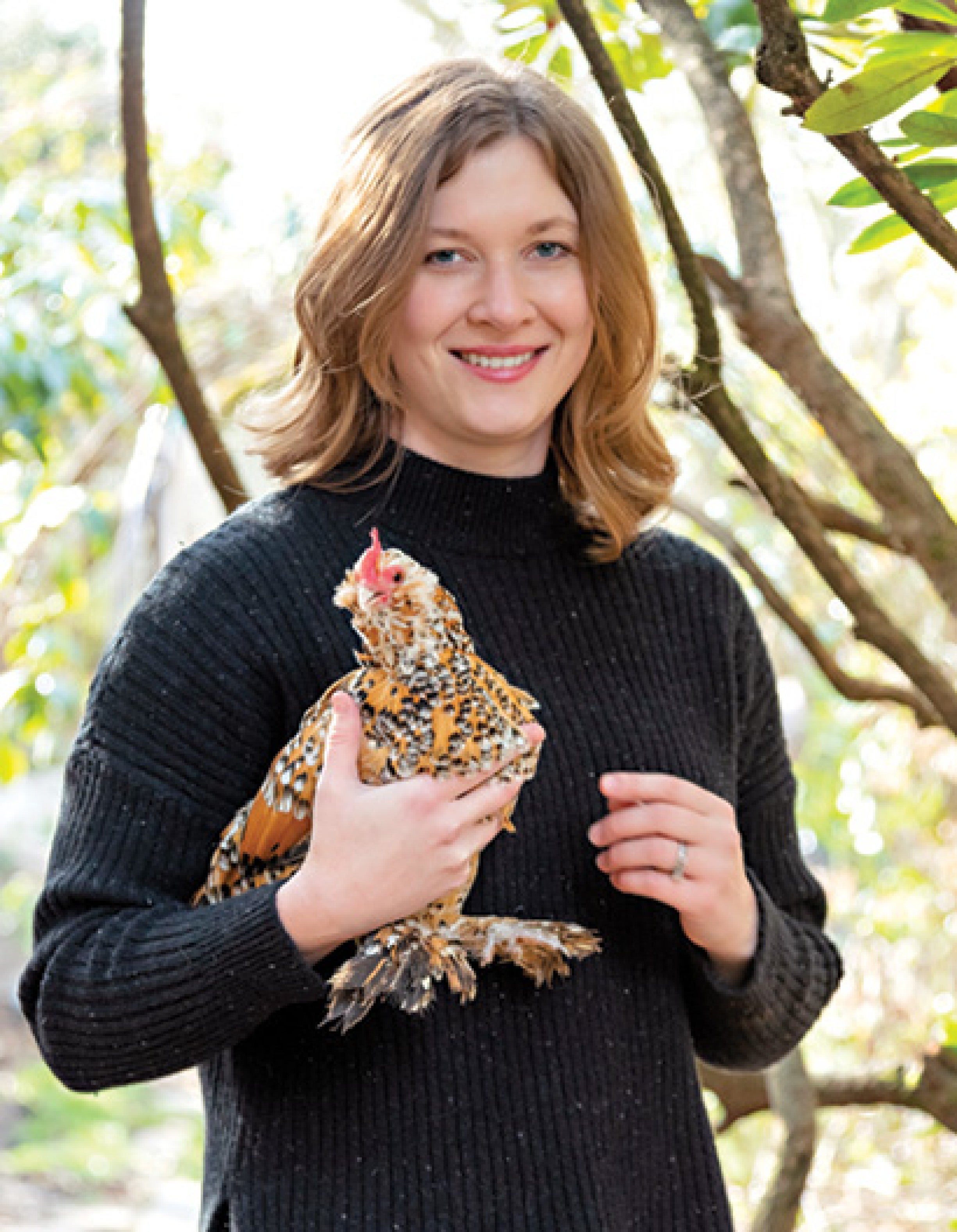 Backyard chickens give us a glimpse into the complex social and ...