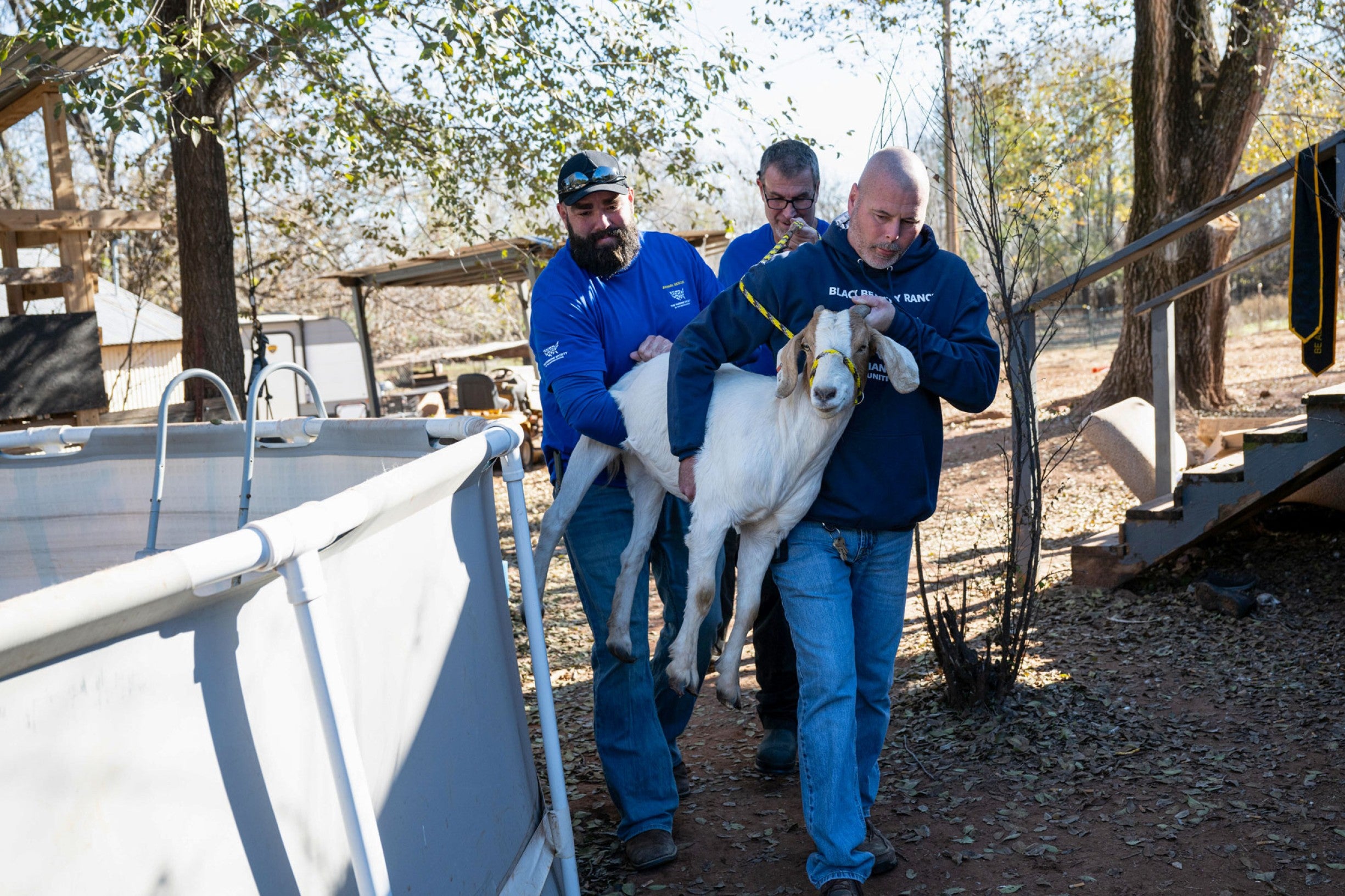 Our rescuers gave hundreds of needy animals in Oklahoma a holiday ...