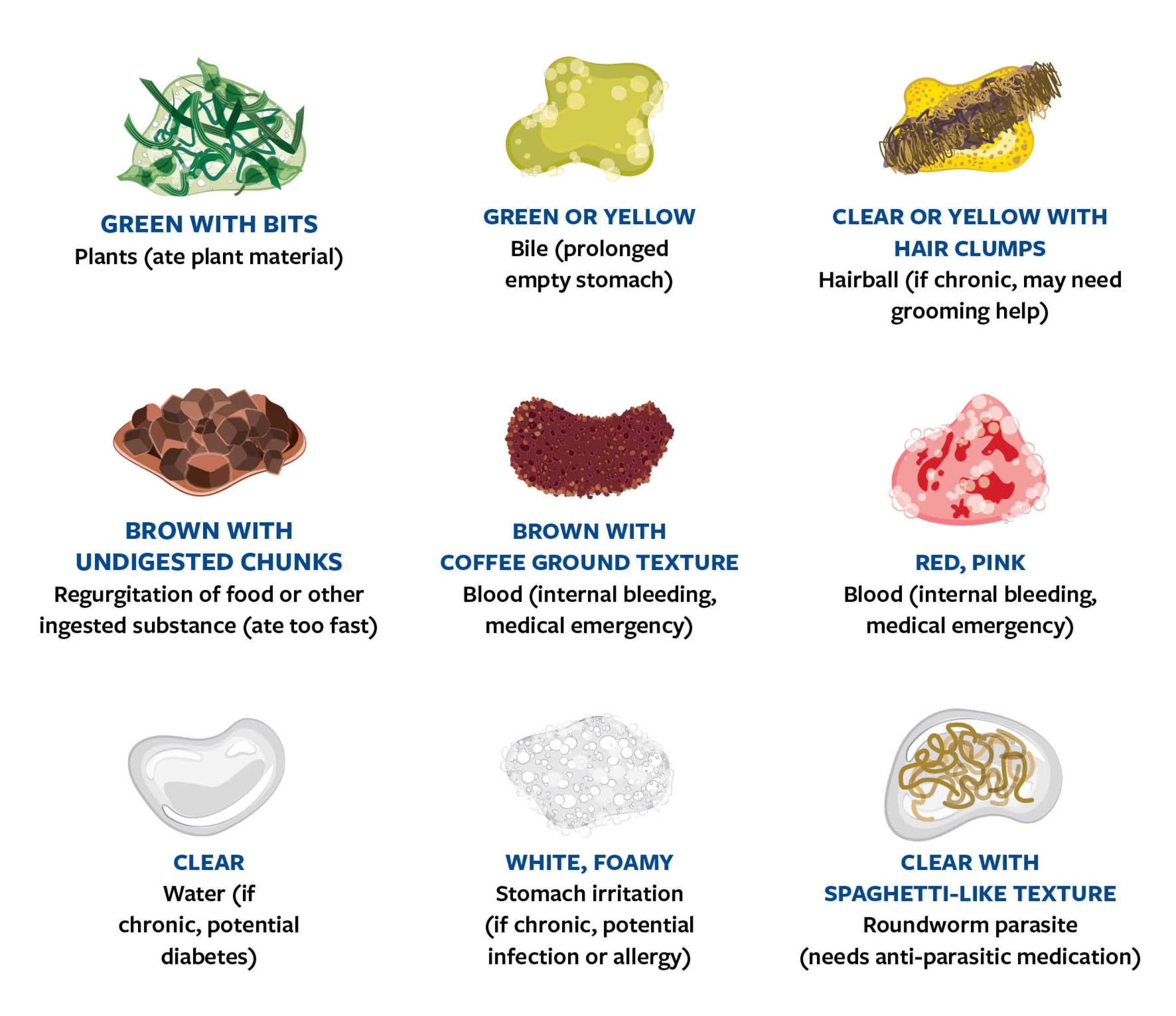 Why is my cat vomiting? Is my cat’s vomit normal? We answer all your ...