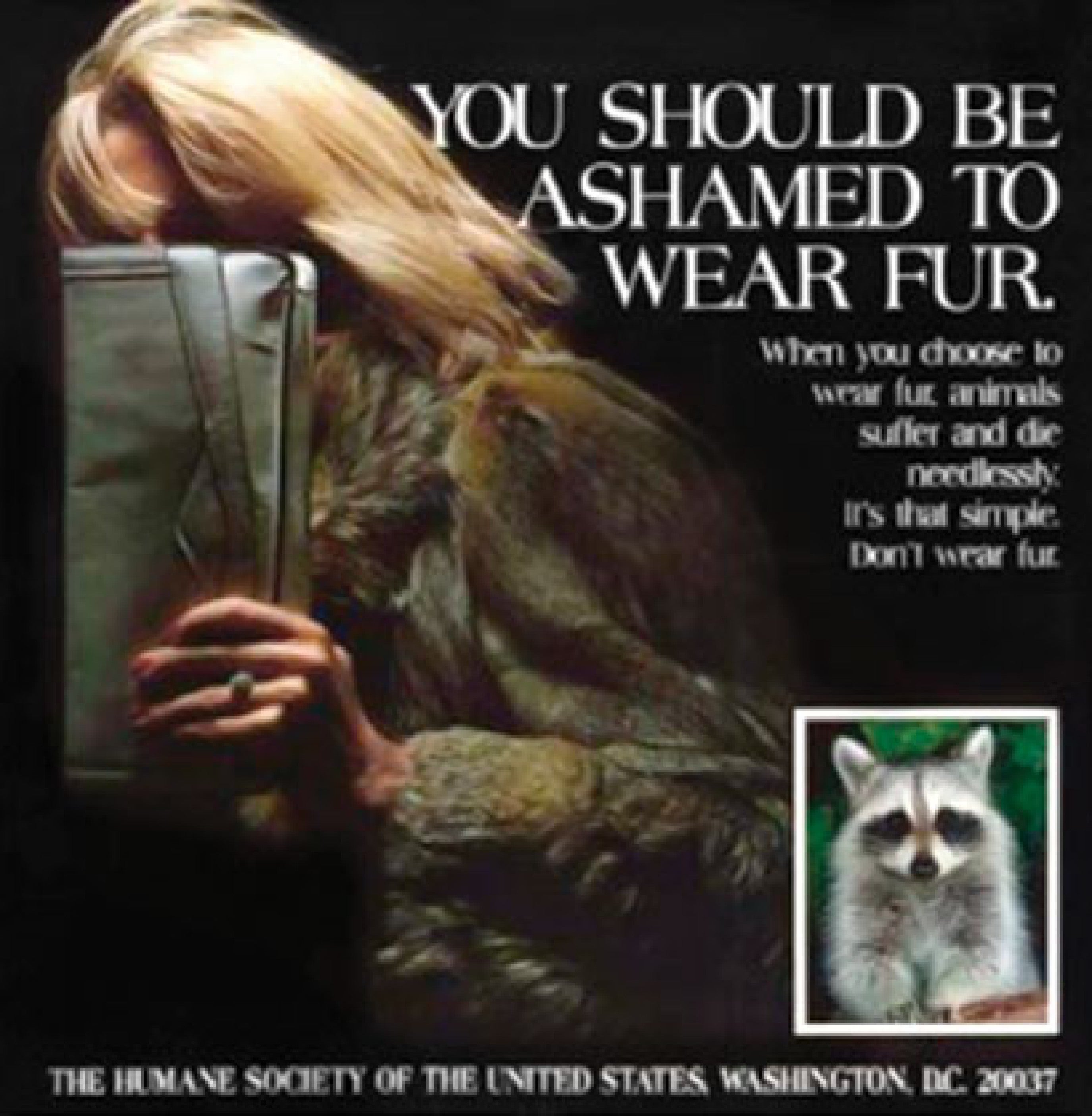 Cutting cruelty out of fashion | Humane World for Animals