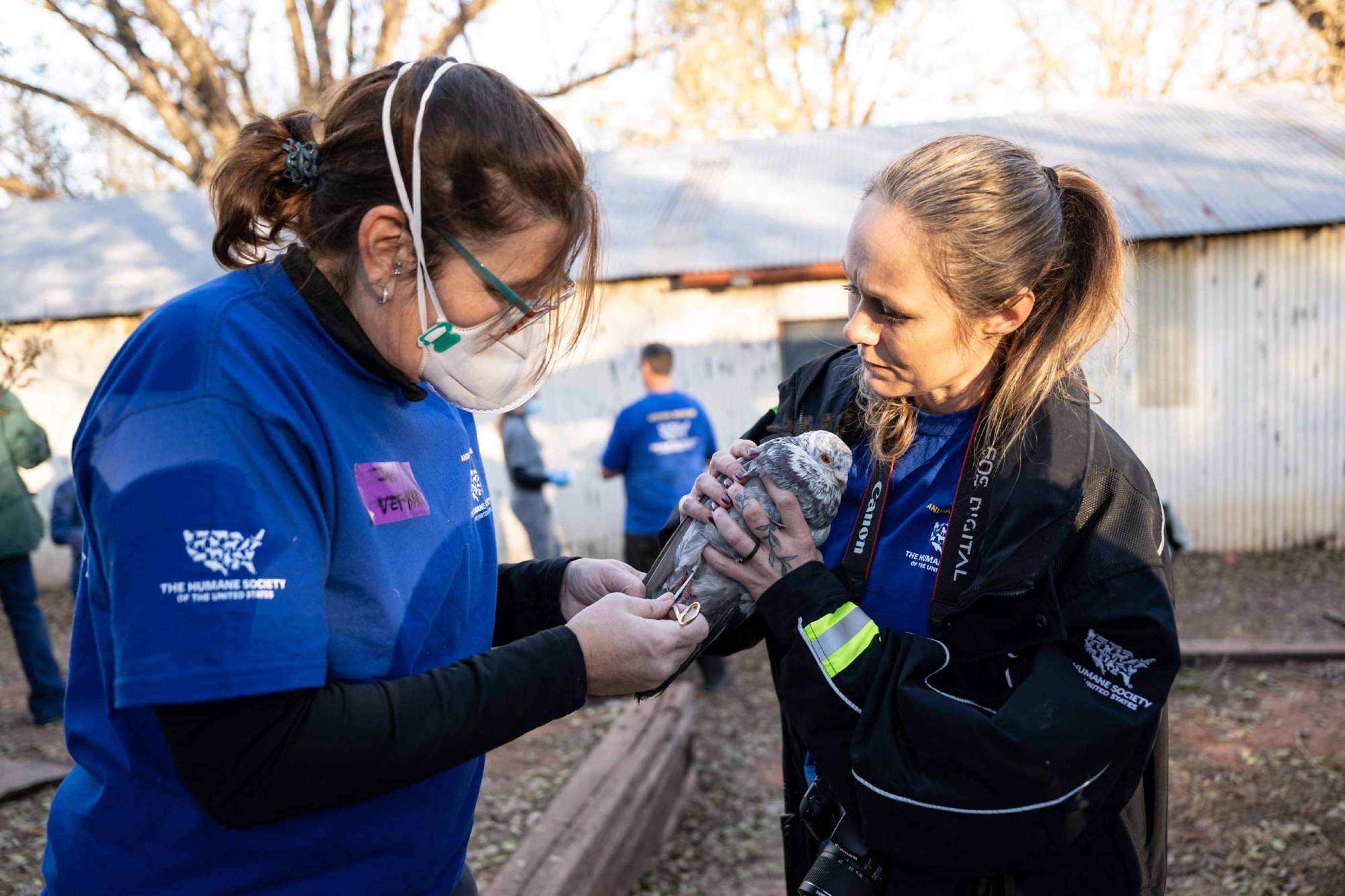 Our rescuers gave hundreds of needy animals in Oklahoma a holiday ...