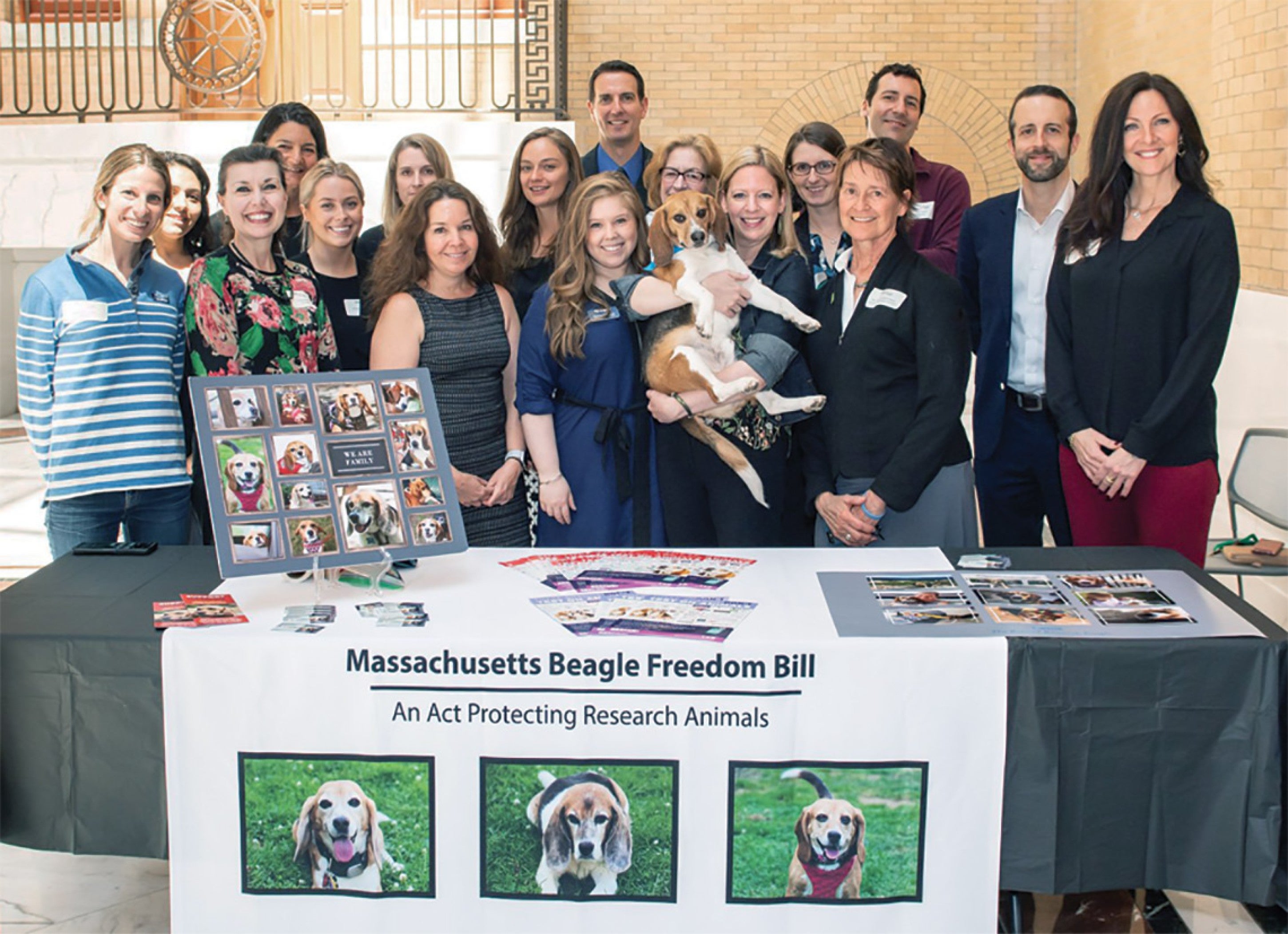 Laps, not labs | Humane World for Animals