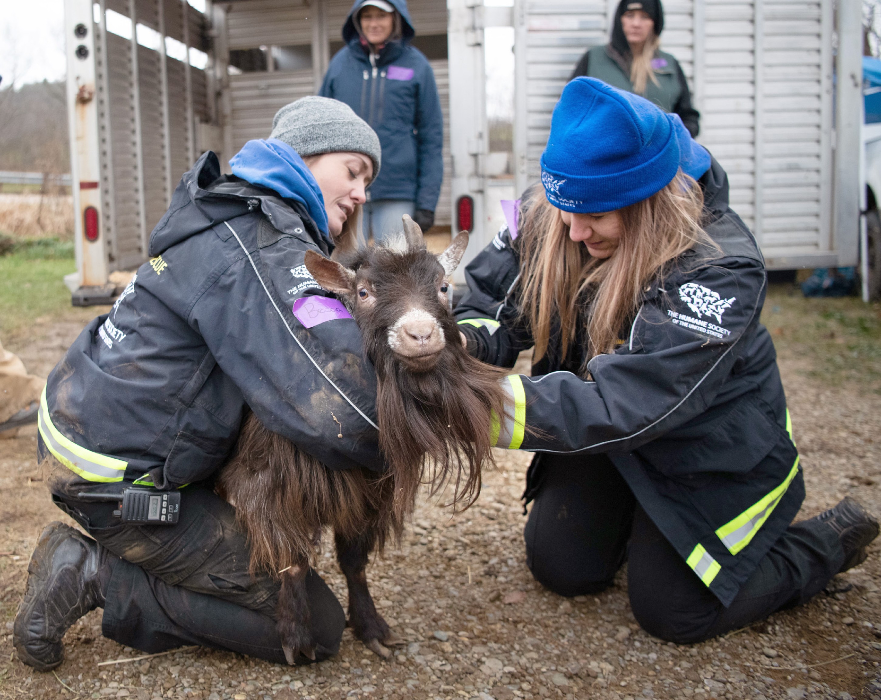Rescue spurs heartbreak and hope | Humane World for Animals