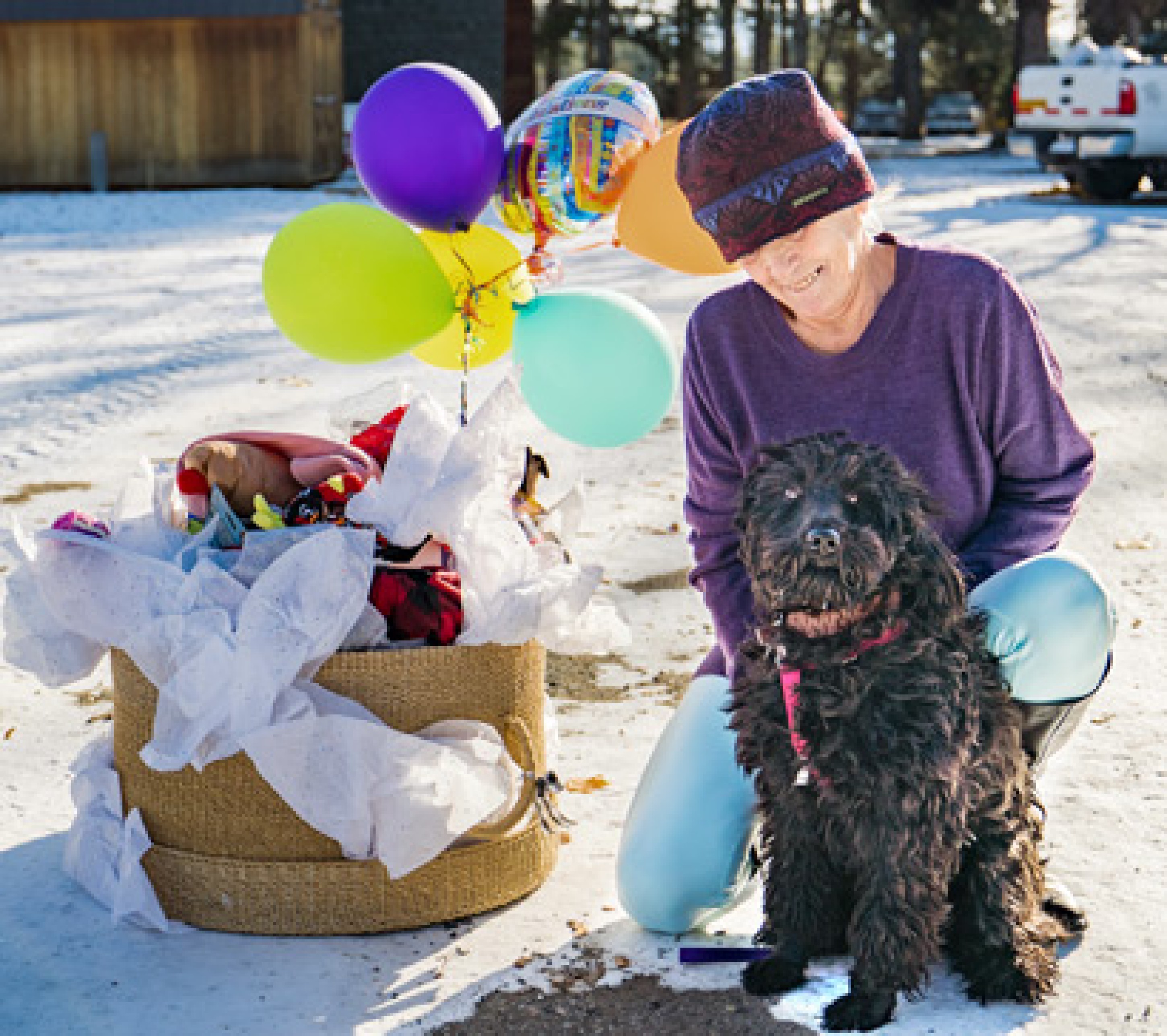 Justice for people and pets | Humane World for Animals