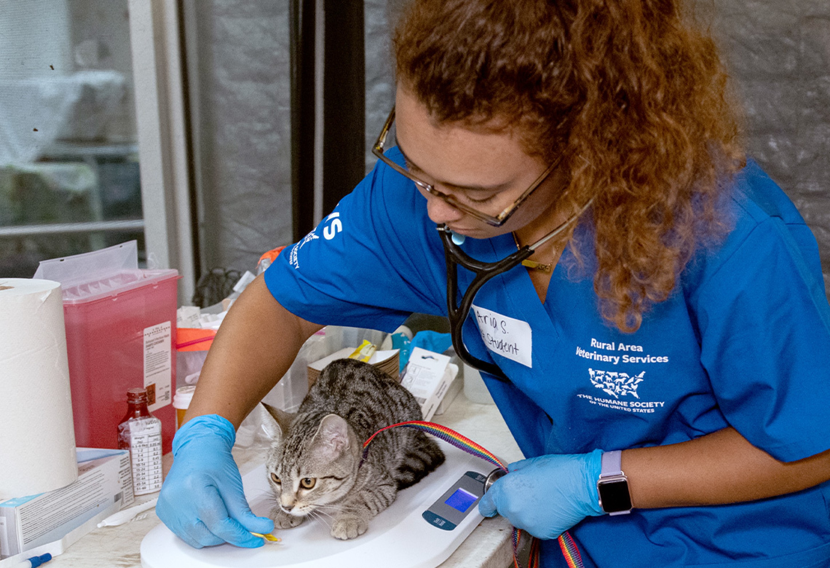 How the Humane Society family helped animals in 2023 | Humane World for ...