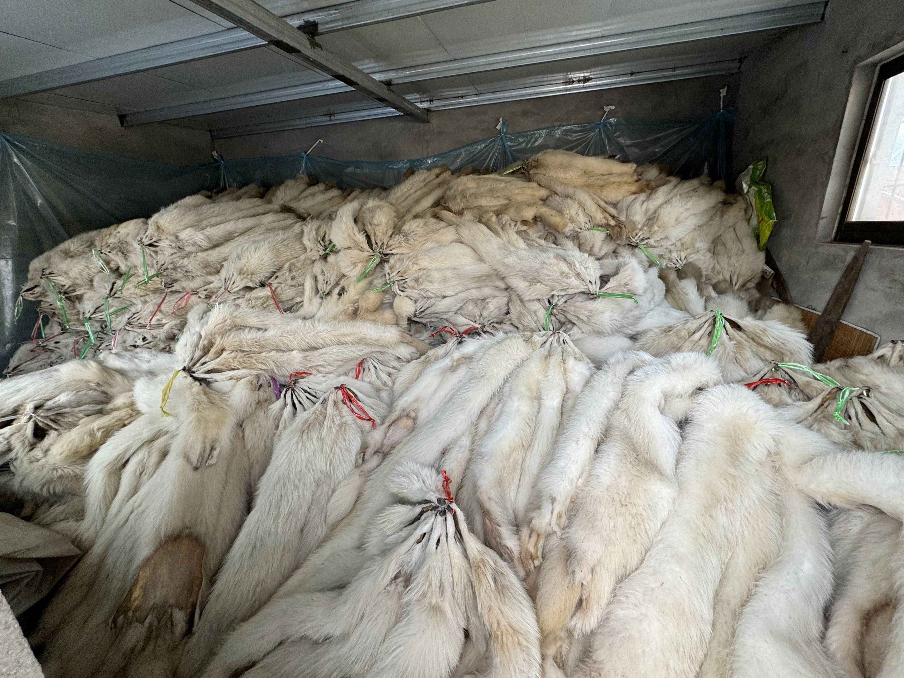 Fur farm investigation exposes immense suffering and disease risk in ...