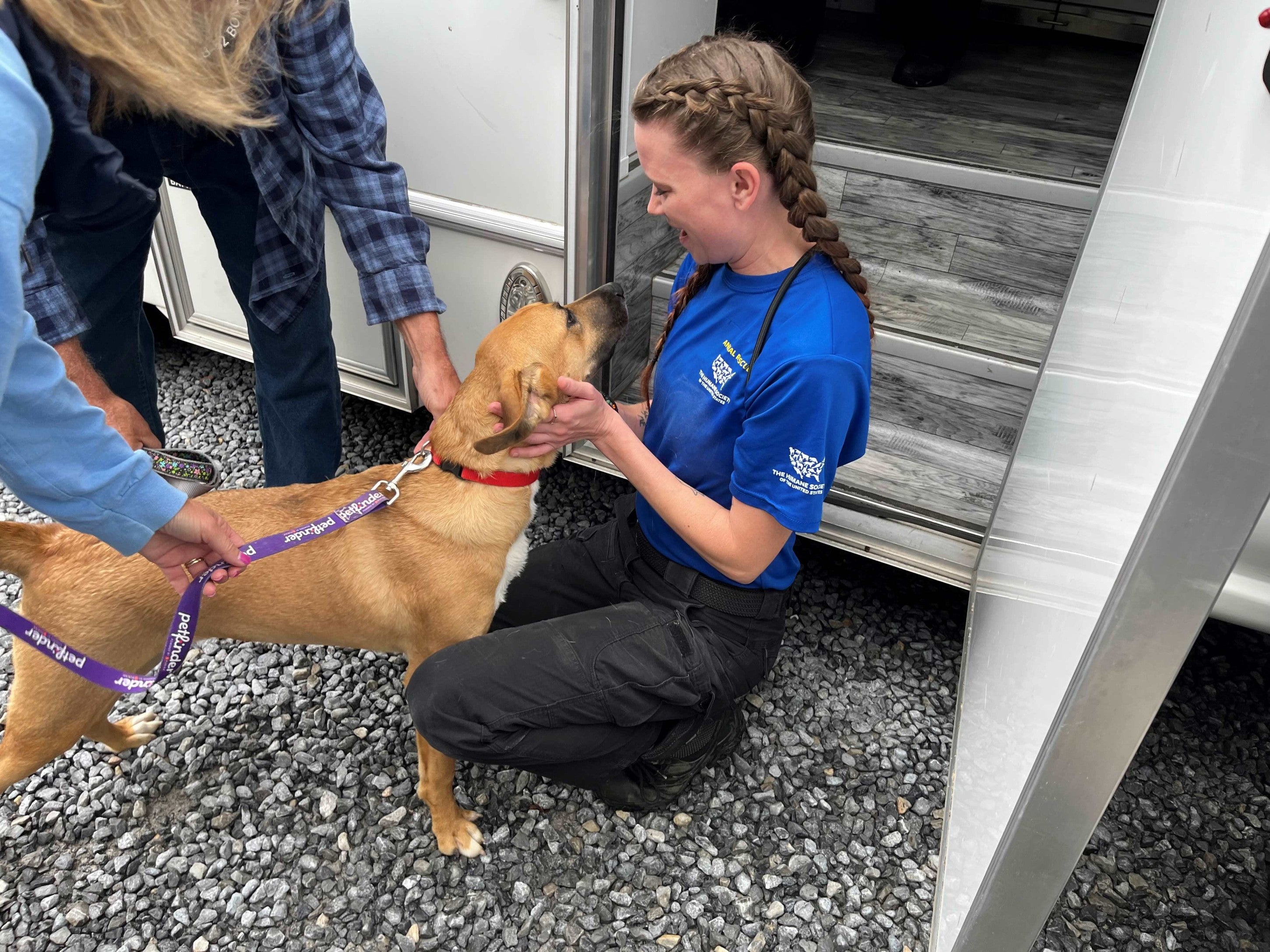 We’re on the ground to help animals in the aftermath of Hurricane ...
