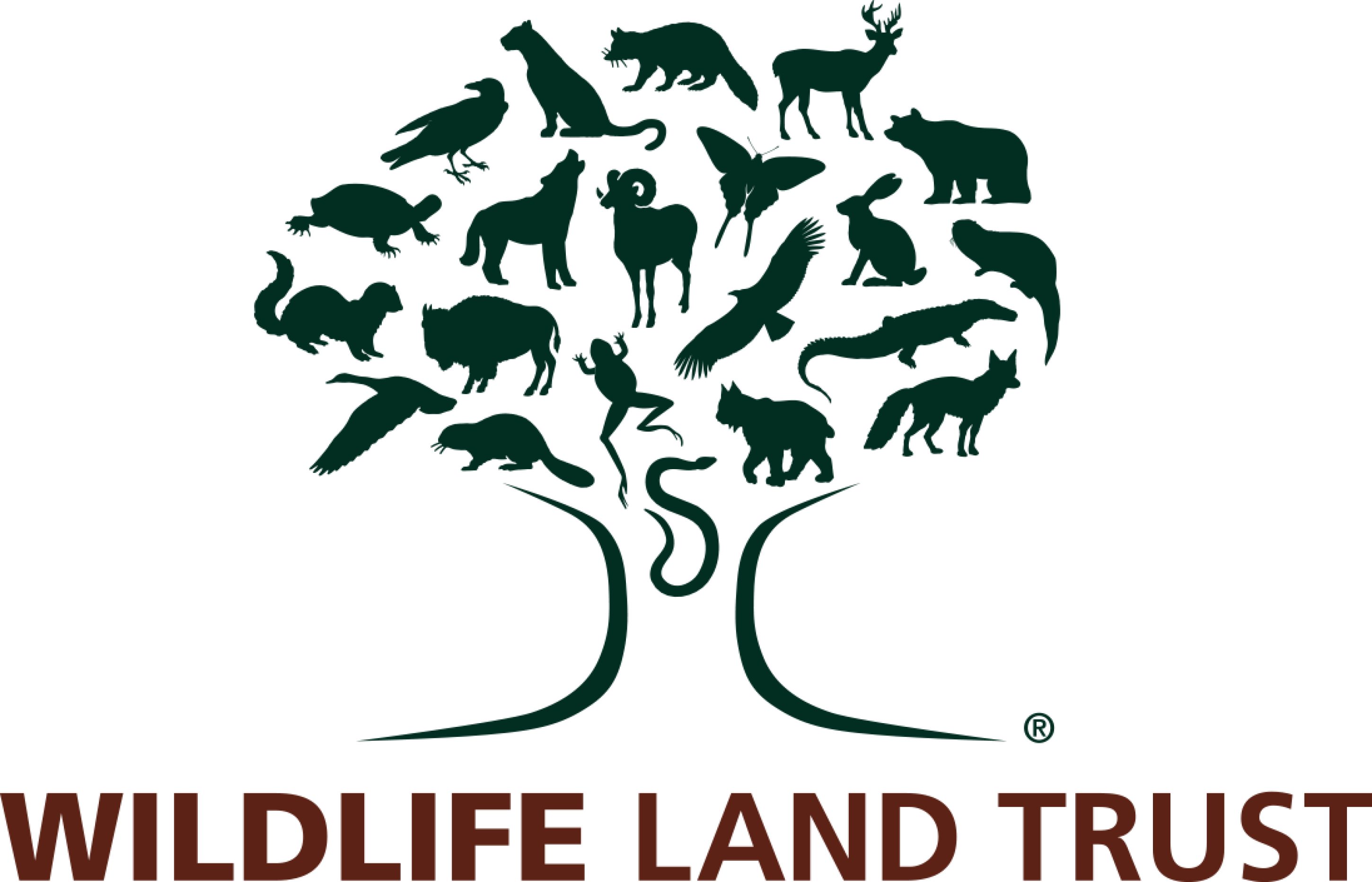 Wildlife Land Trust | Humane World for Animals