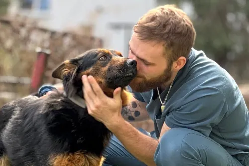 animals being rescued