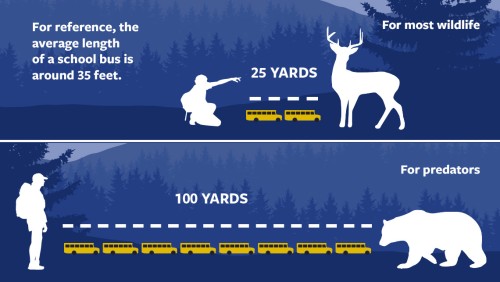Keeping your distance | Humane World for Animals