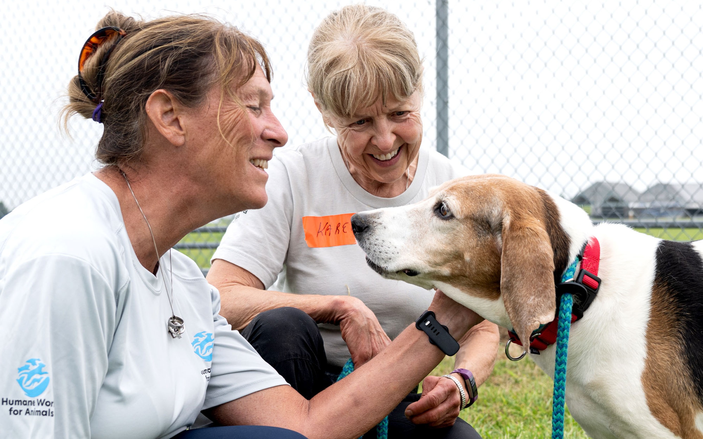 Global Animal Welfare Org | Humane World for Animals | Humane World for ...