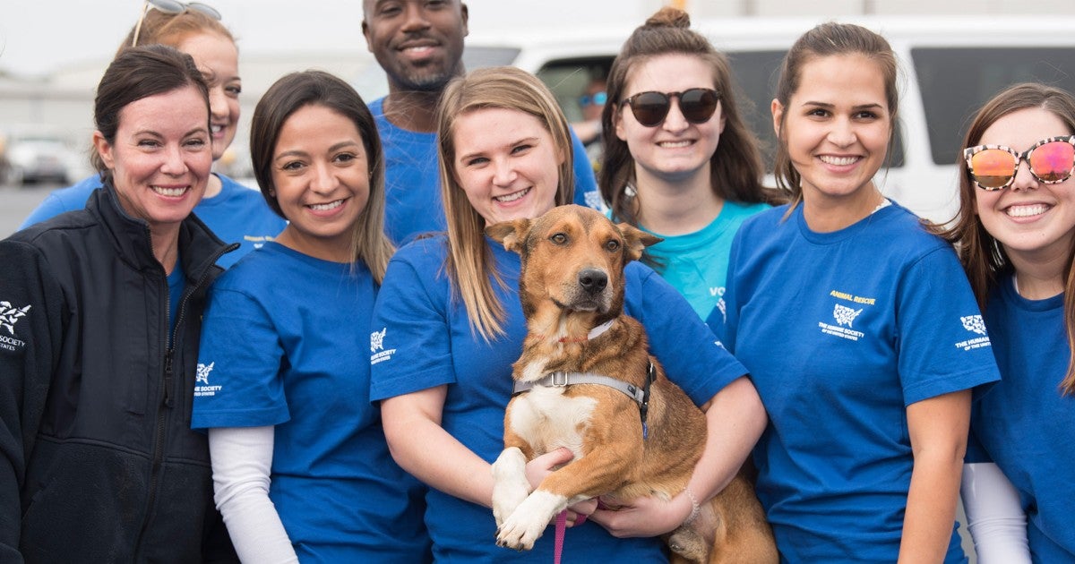 Contact Us | Humane World for Animals