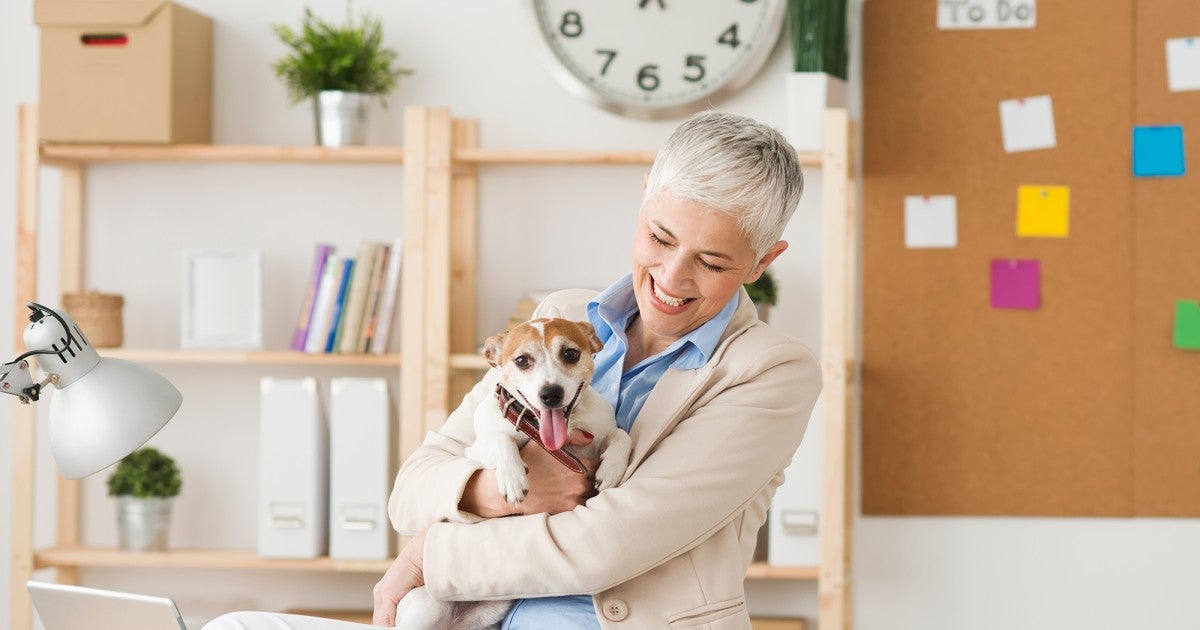 Give at work | Humane World for Animals