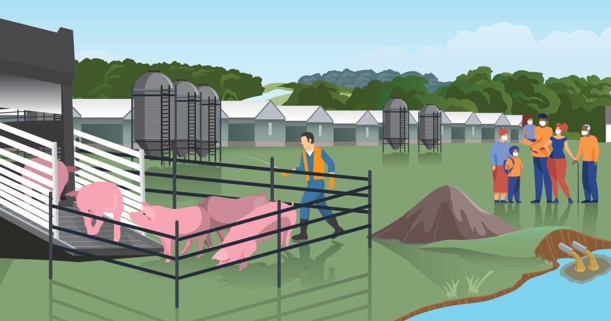 The facts about factory farms | Humane World for Animals