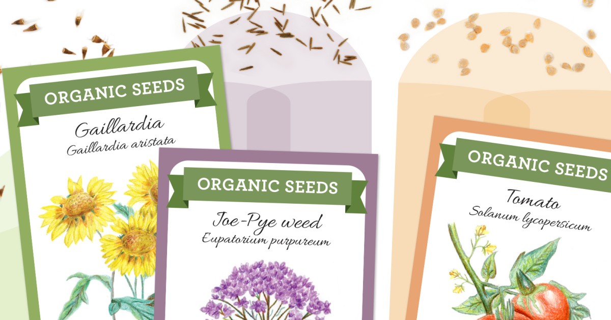 Planting the seeds | Humane World for Animals