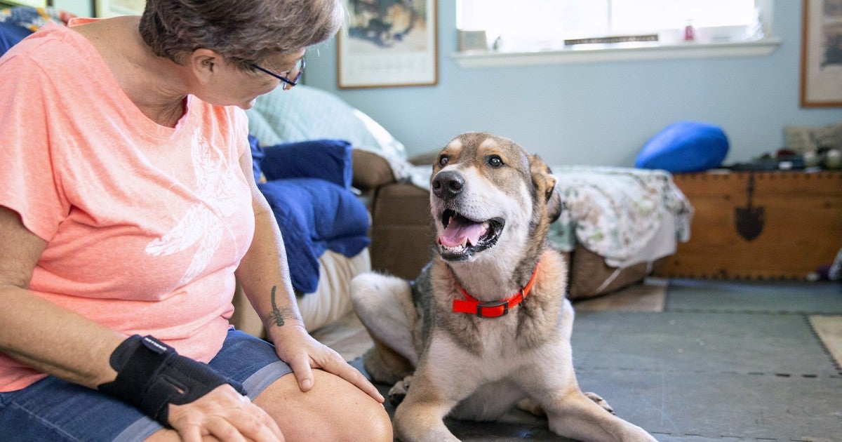 Slow and somewhat steady | Humane World for Animals