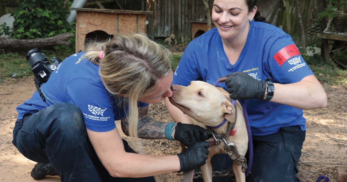 Rescuing Animals in Crisis | Humane World for Animals