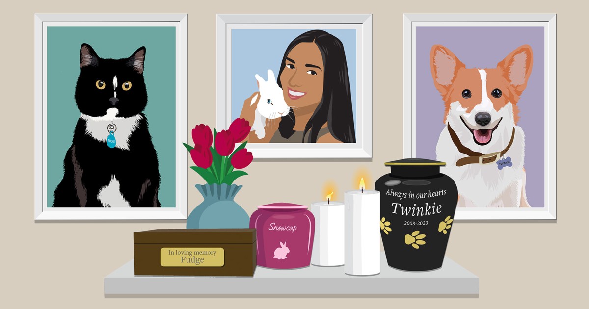 How to Grieve the Loss of a Companion Animal