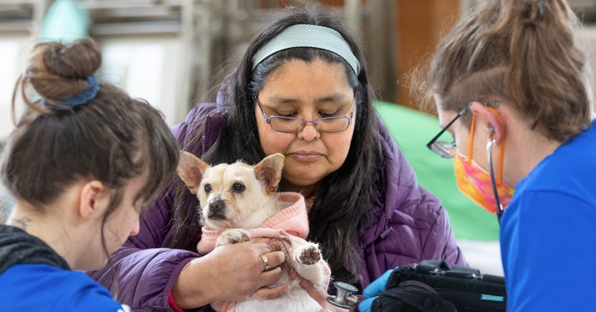 Justice for people and pets | Humane World for Animals