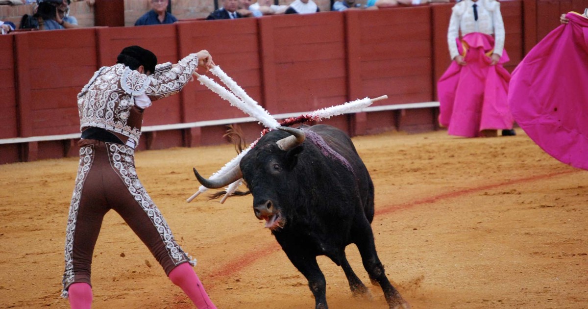Michoacán becomes the sixth Mexican state to ban bullfighting | Humane ...