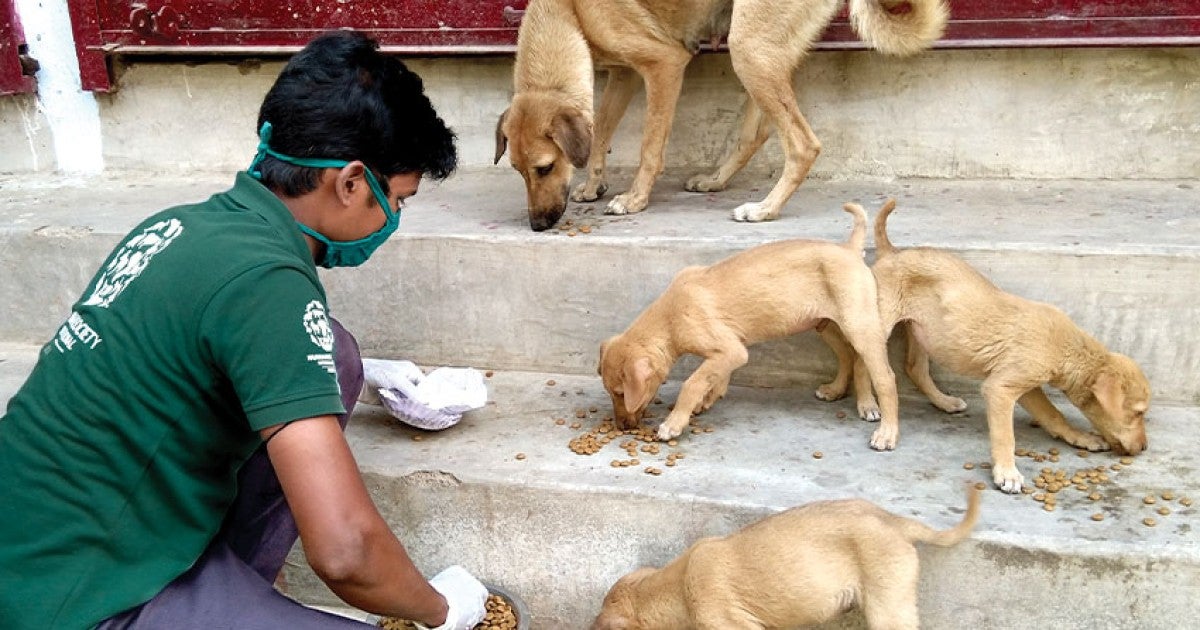 Monitoring, Evaluation and Impact Assessment (MEIA) Resources | Humane ...