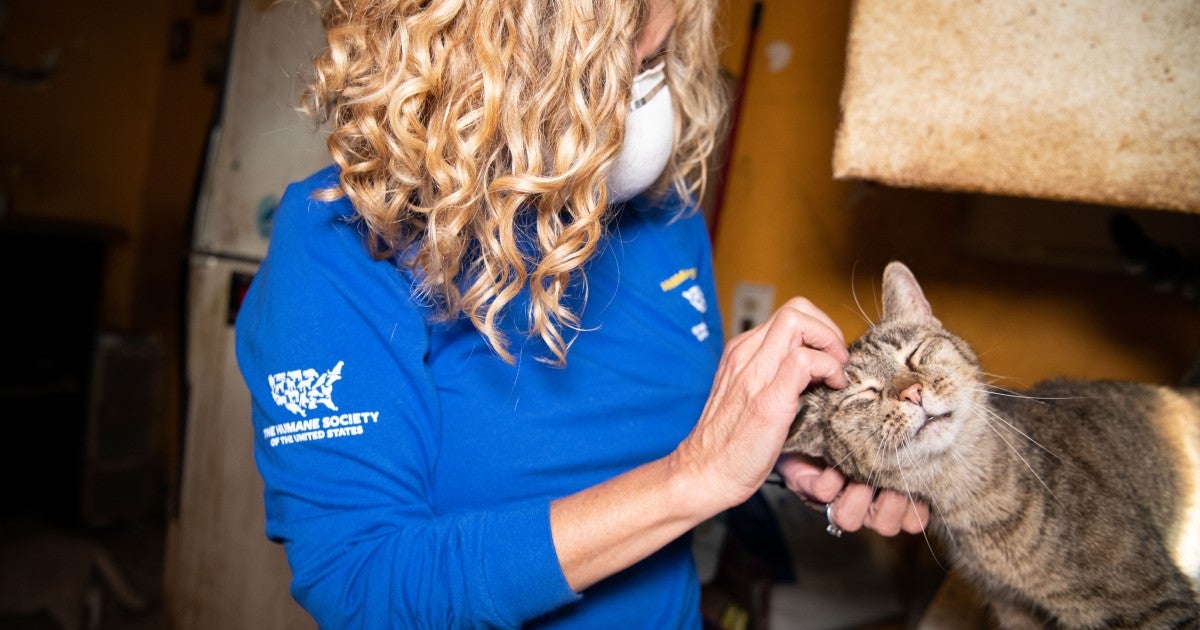 How we work to save animals (part 4): Rescuing and caring for animals ...