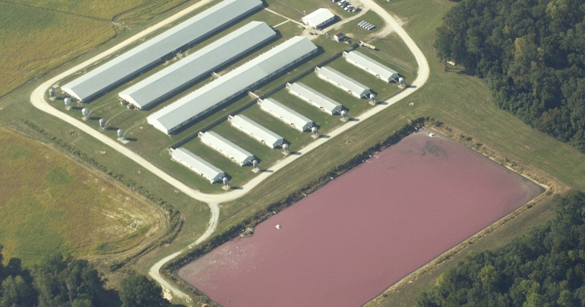 Progress: Climate change conference to address food and agriculture ...