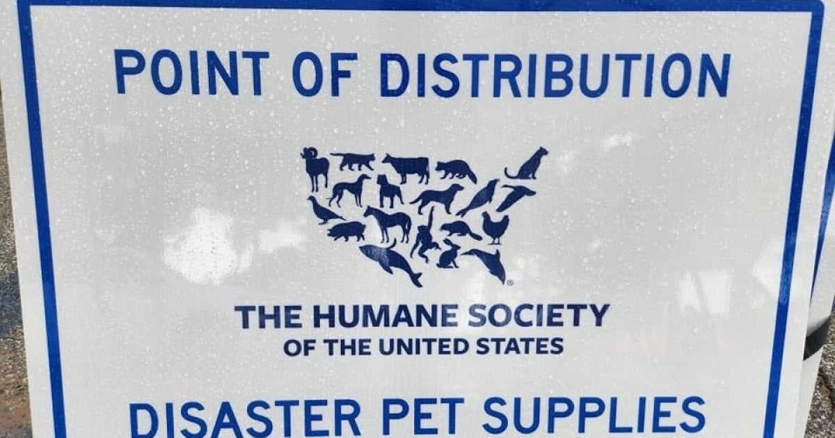 Helping hundreds of families and their animals after Hurricane Idalia ...
