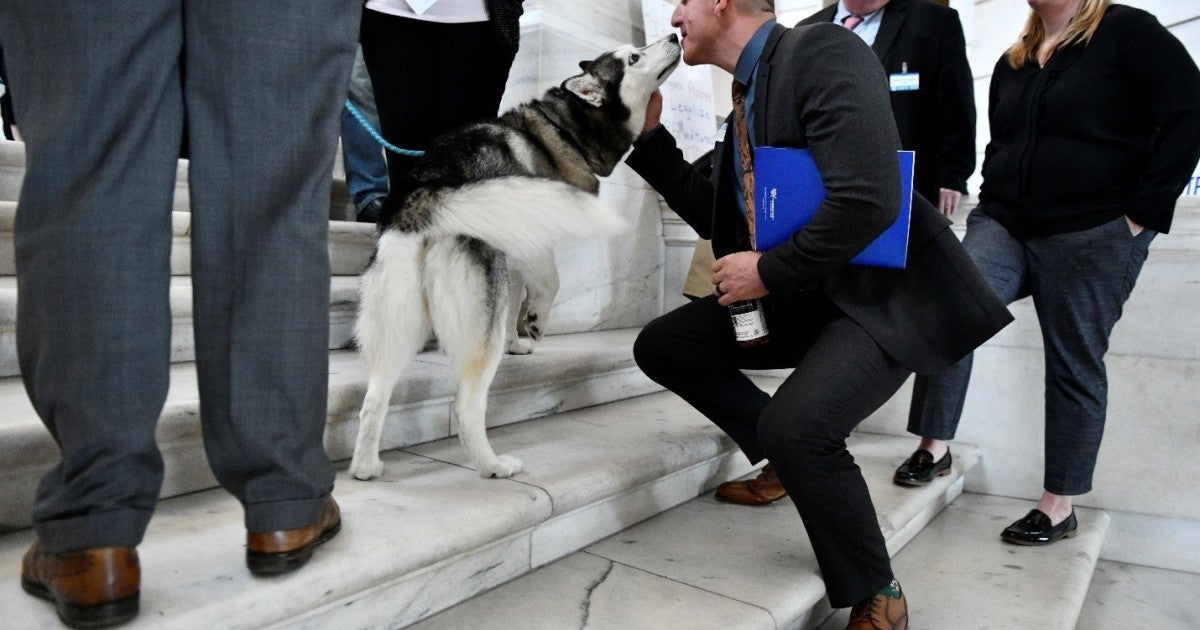 You can help pass state laws to create a more humane world | Humane ...