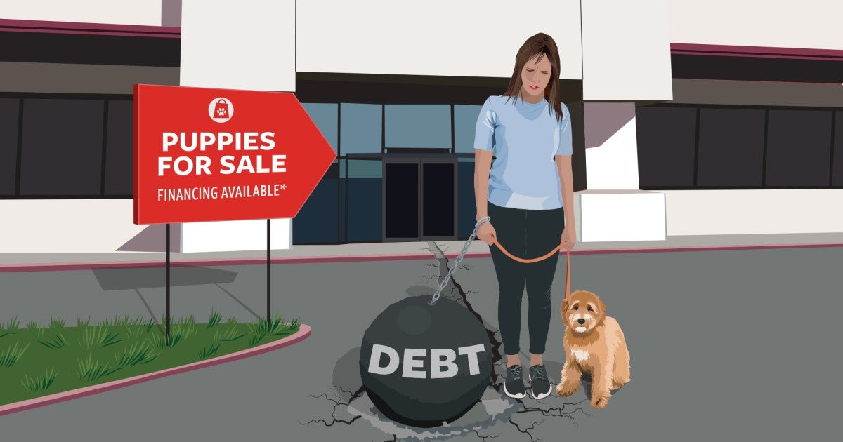 Predatory lending can leave puppy buyers in financial ruin | Humane World for Animals