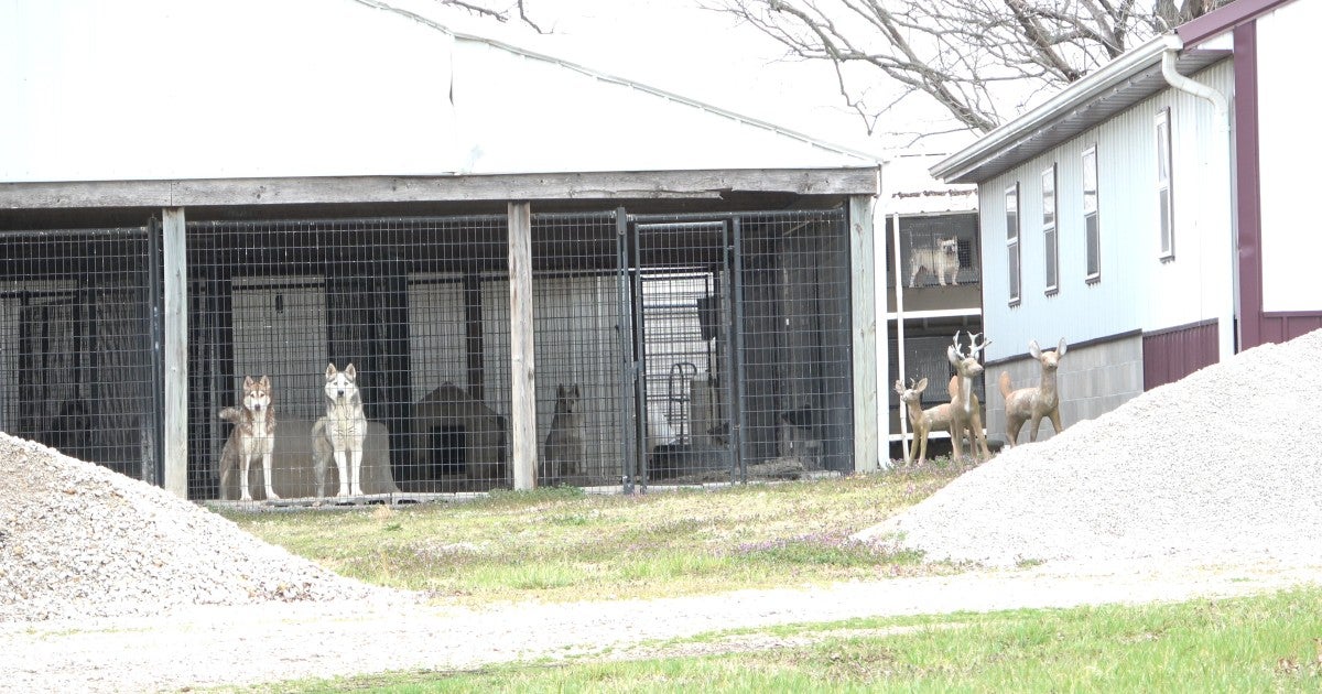 New Animal Welfare Act regulations would improve the lives of so many ...