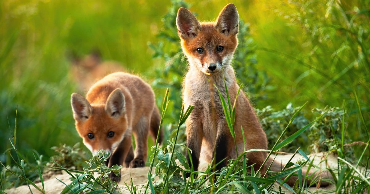 During New York Fashion Week, look out for the innovative materials ...