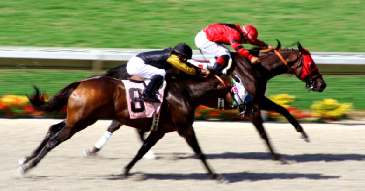 In historic move, Churchill Downs suspends racing after 12 horses die ...