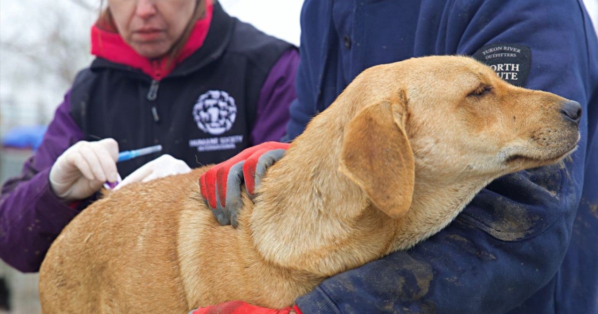 As harsh winter arrives and nearby war continues, here’s how we’re ...