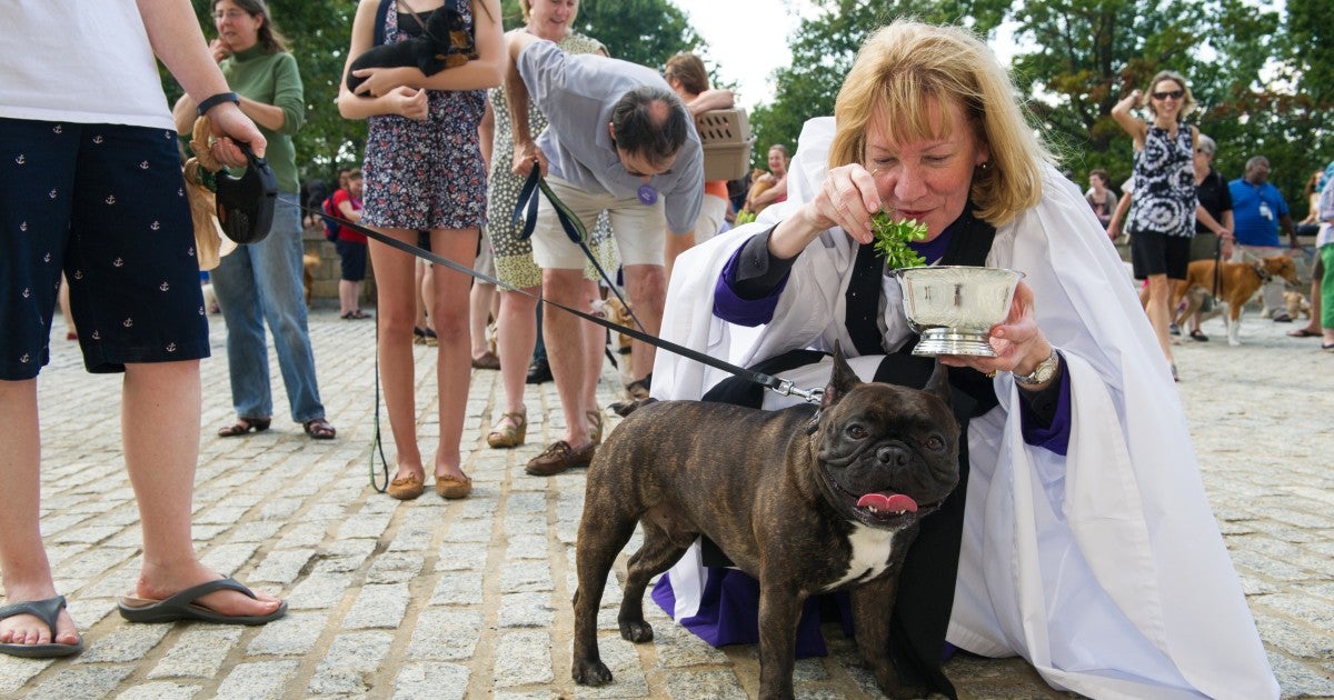 Celebrating the human-animal bond at the Blessing of the Animals ...