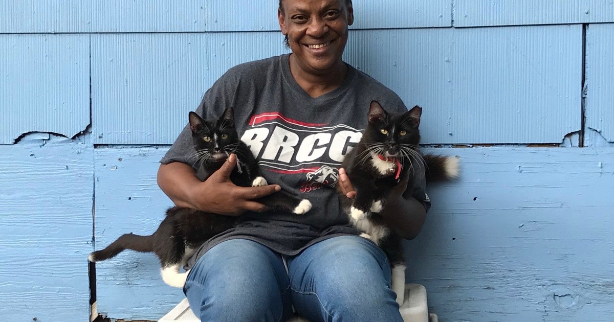 As millions of pet owners grapple with evictions, HSUS steps in with ...