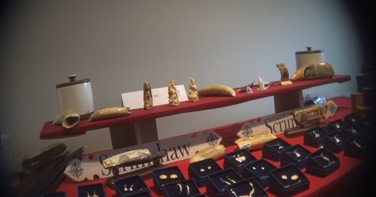 As Massachusetts considers an ivory trade ban, HSUS/HSI investigation ...